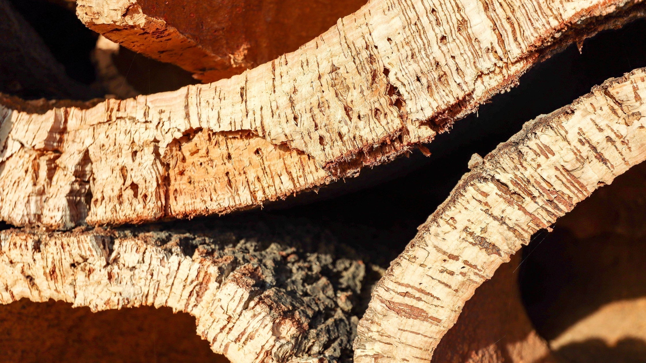Why FSC Certified Sustainable Cork is the Eco-Friendly Choice ...