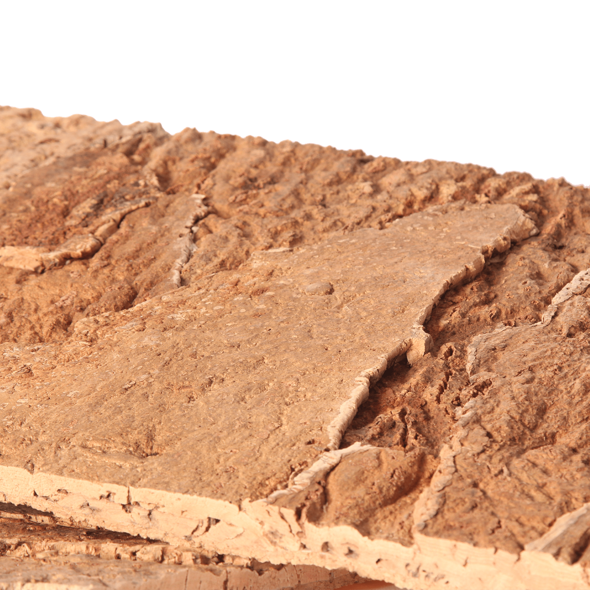 Rustic Sandstone sheet – Portugal Cork Co